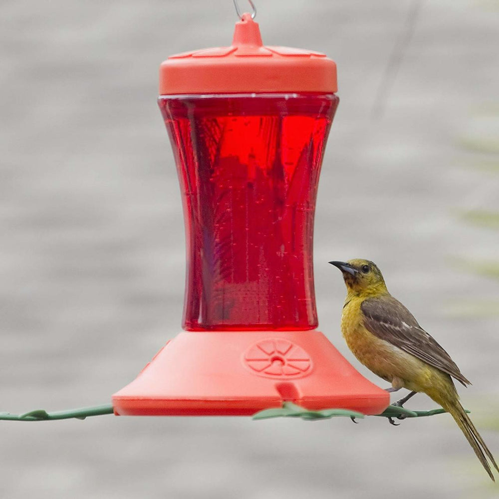 Buy 24oz. Oriole Feeder Online in USA, 24oz. Oriole Feeder Price ...
