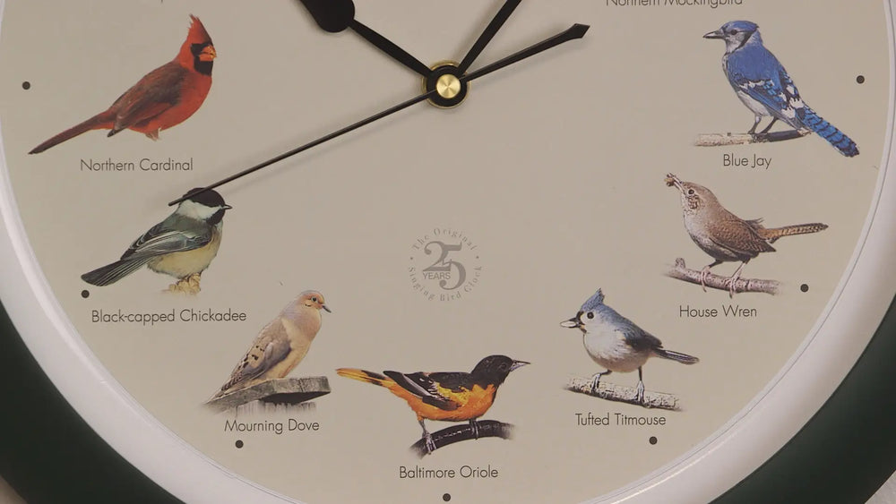 Buy 25th Anniversary Original Singing Bird Clock, 13 Inch, Green Online ...