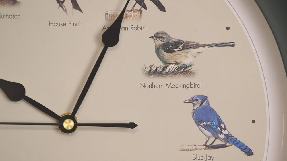 Buy 25th Anniversary Original Singing Bird Clock, 13 Inch, Oak Online ...