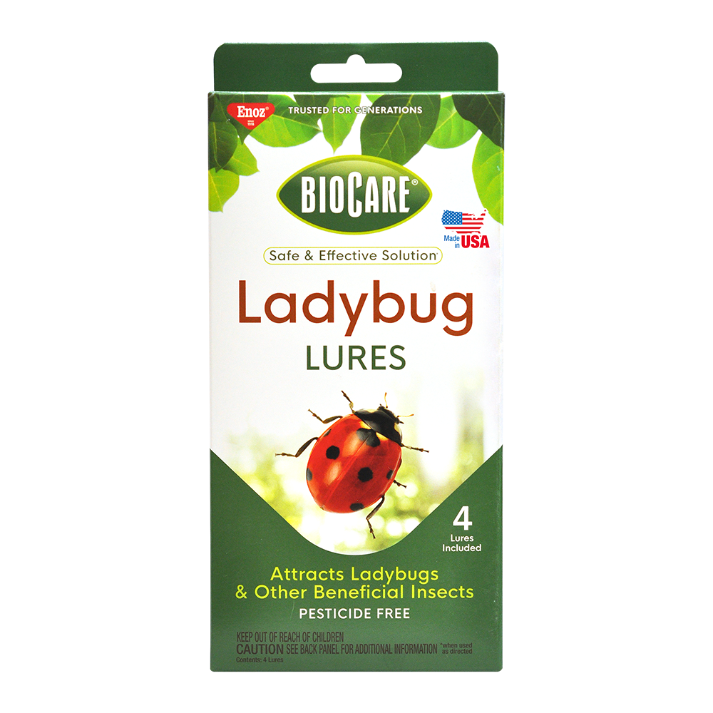 Buy BioCare Ladybug Lures Online in USA, BioCare Ladybug Lures Price ...