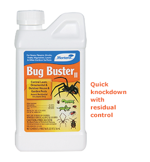 Buy Bug Buster II Insect Spray, 1 Pint Concentrate Online in USA, Bug ...