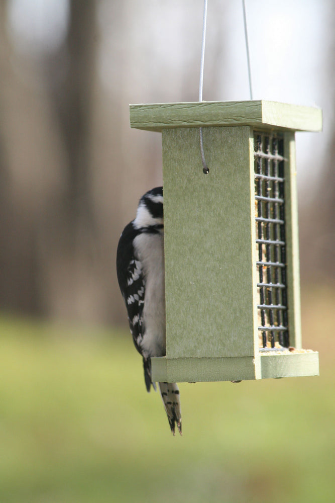 Buy Green Solutions Single Suet Feeder Online in USA, Green Solutions ...
