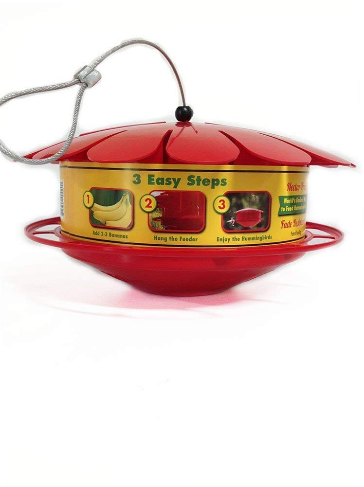 Buy Humm-Bug Hummingbird Protein Feeder Online in USA, $28.95 ...