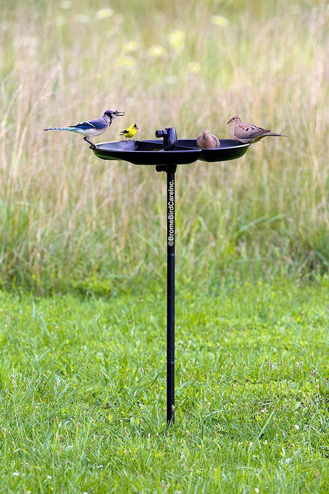 Buy Seed Buster Seed Tray & Seed Catcher Online in USA, Seed Buster ...
