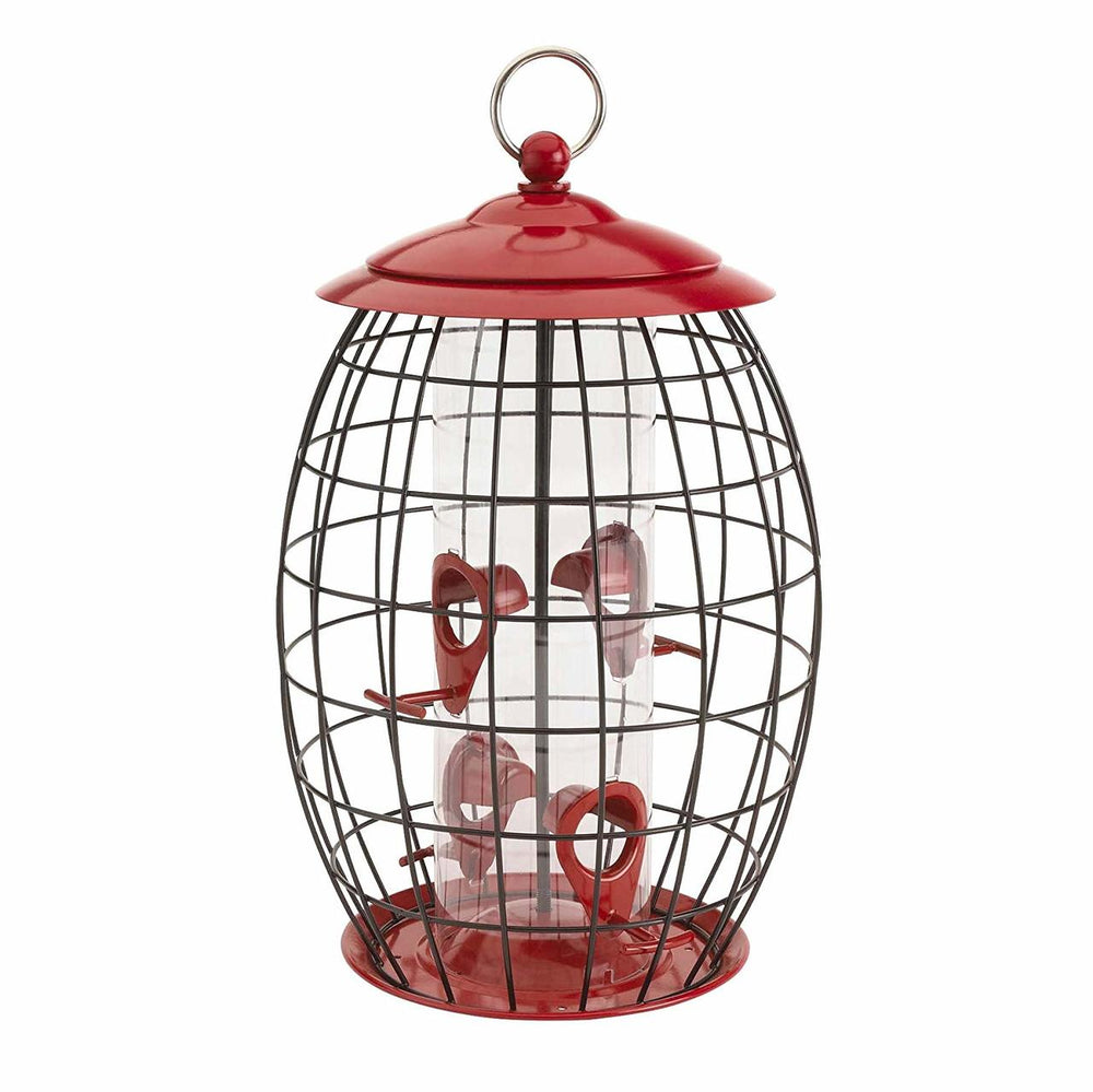 Buy Sweet Tweet Feeder Online in USA, Sweet Tweet Feeder Price ...