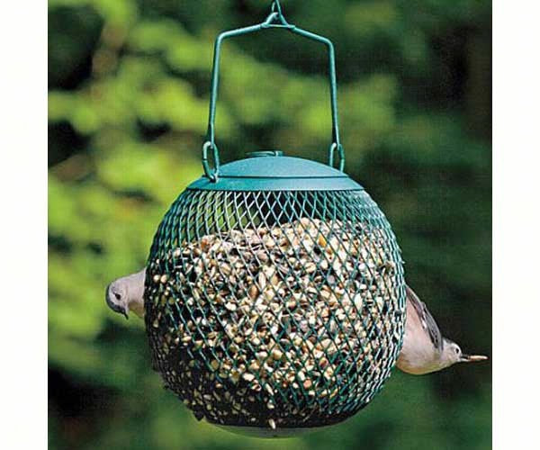Buy The Seed Ball Online in USA, $10.95 - TreeHelp.com