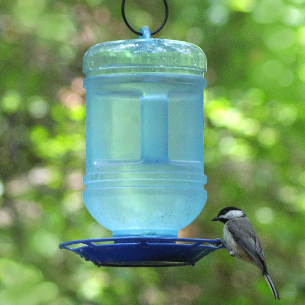 Buy Water Cooler Bird Waterer Online in USA, Water Cooler Bird Waterer ...