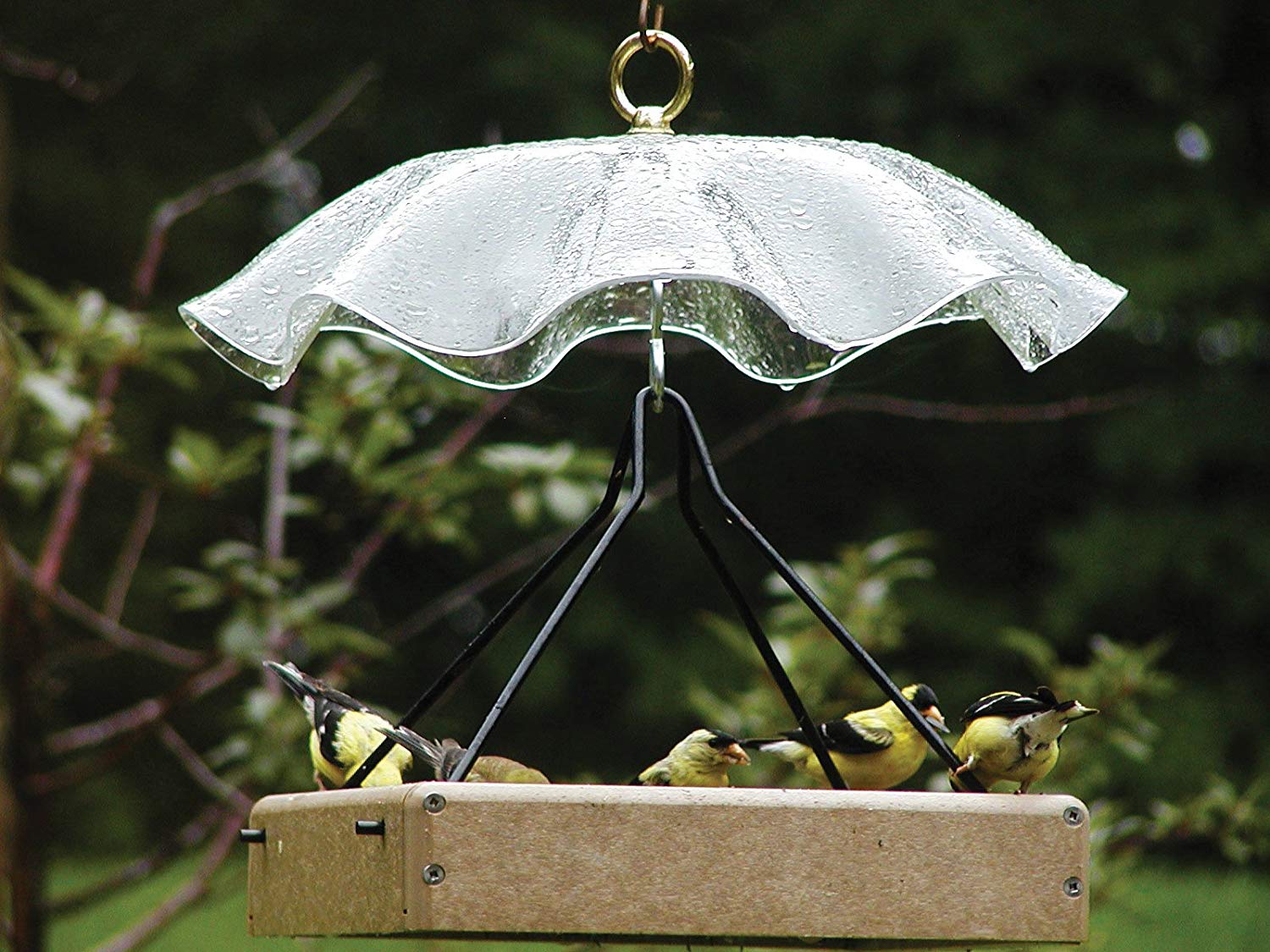 Buy Weather Guard, Clear Online in USA, $44.95 - TreeHelp.com
